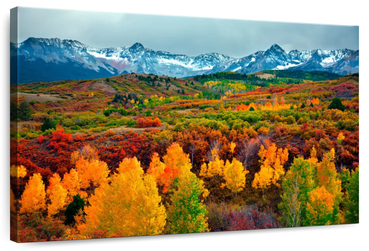 Millwood Pines Alvord Colorado Autumn Landscape | Wayfair