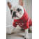 Marlow Home Co. French Bulldog by Gollykim - Print | Wayfair.co.uk