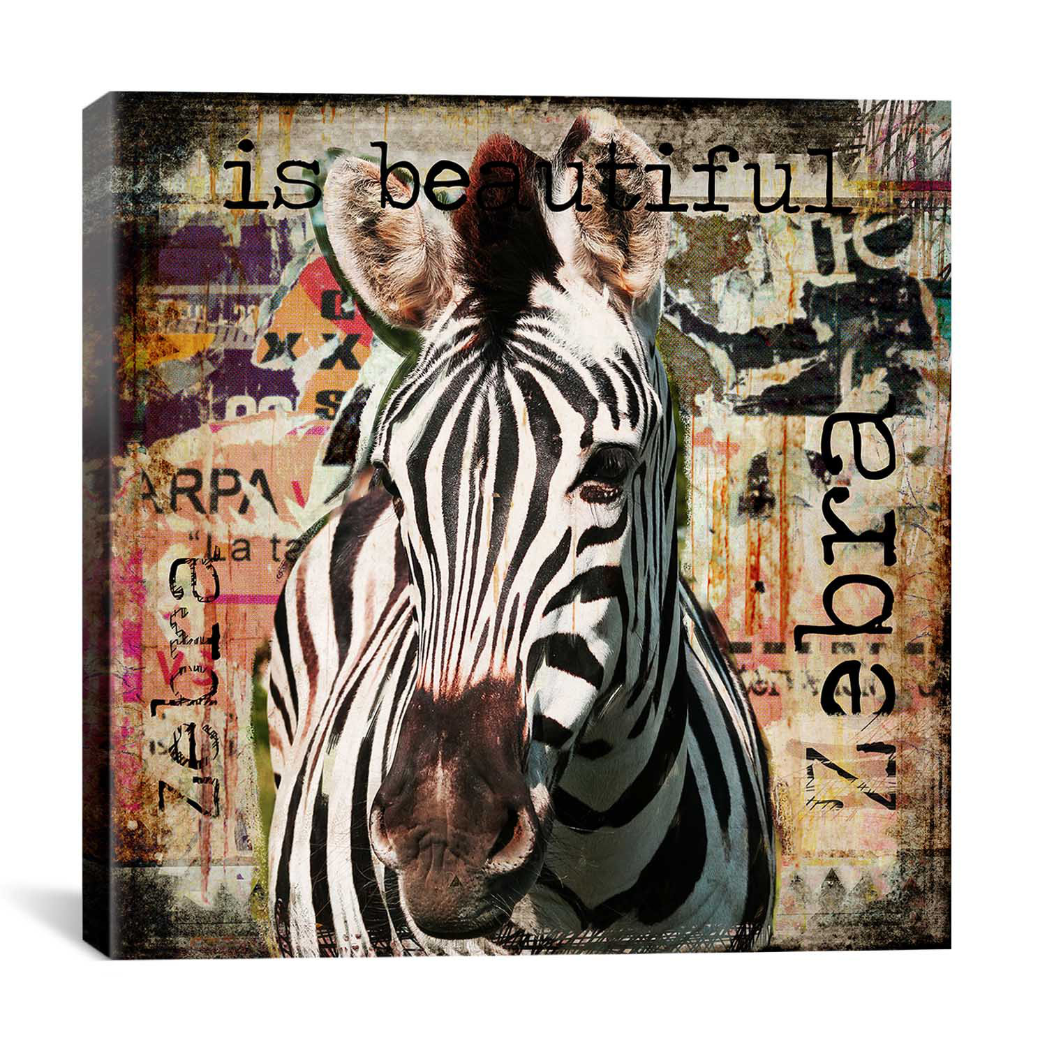 Ebern Designs 'Zebra Torn Posters' by Luz Graphics Graphic Art on ...