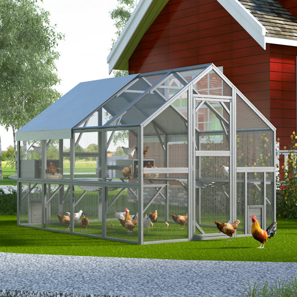 Tucker Murphy Pet™ Eather Chicken Run & Reviews | Wayfair