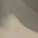 Wade Logan® Amylah Upholstered Twin Daybed & Reviews | Wayfair