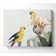 Bay Isle Home Two Yellow Parrots - Wrapped Canvas Art Prints | Wayfair ...