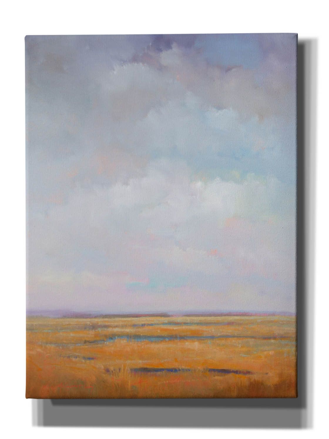 Winston Porter 'Midday Marsh' by William Mccarthy, Canvas Wal Art | Wayfair