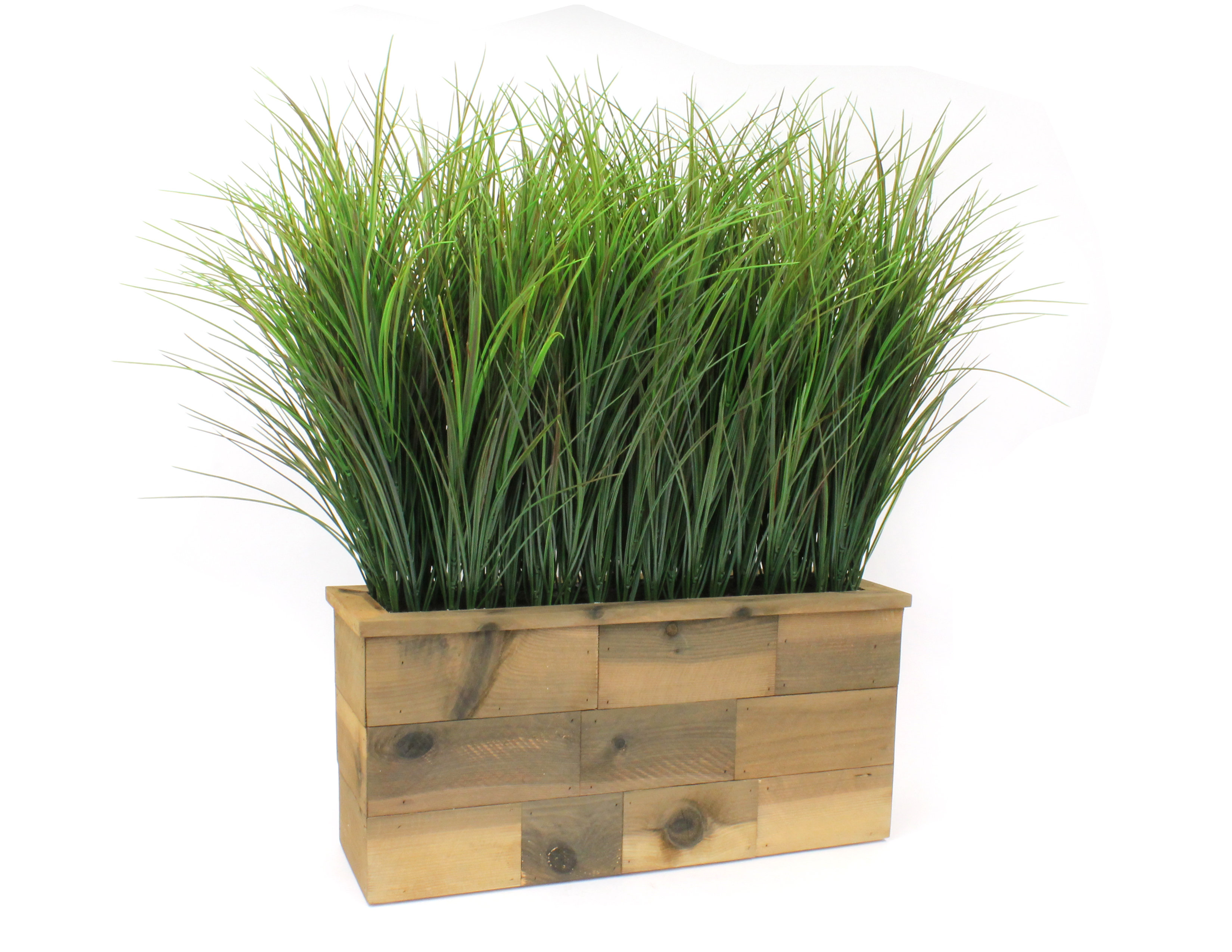 Dalmarko Designs Foliage Succulent Grass in Planter - Wayfair Canada