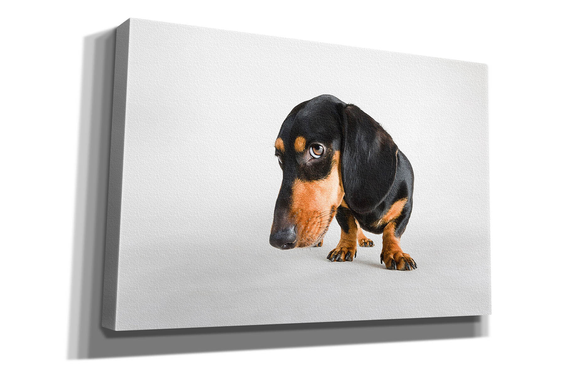 Red Barrel Studio® " Who Me " by Susan Sabo | Wayfair