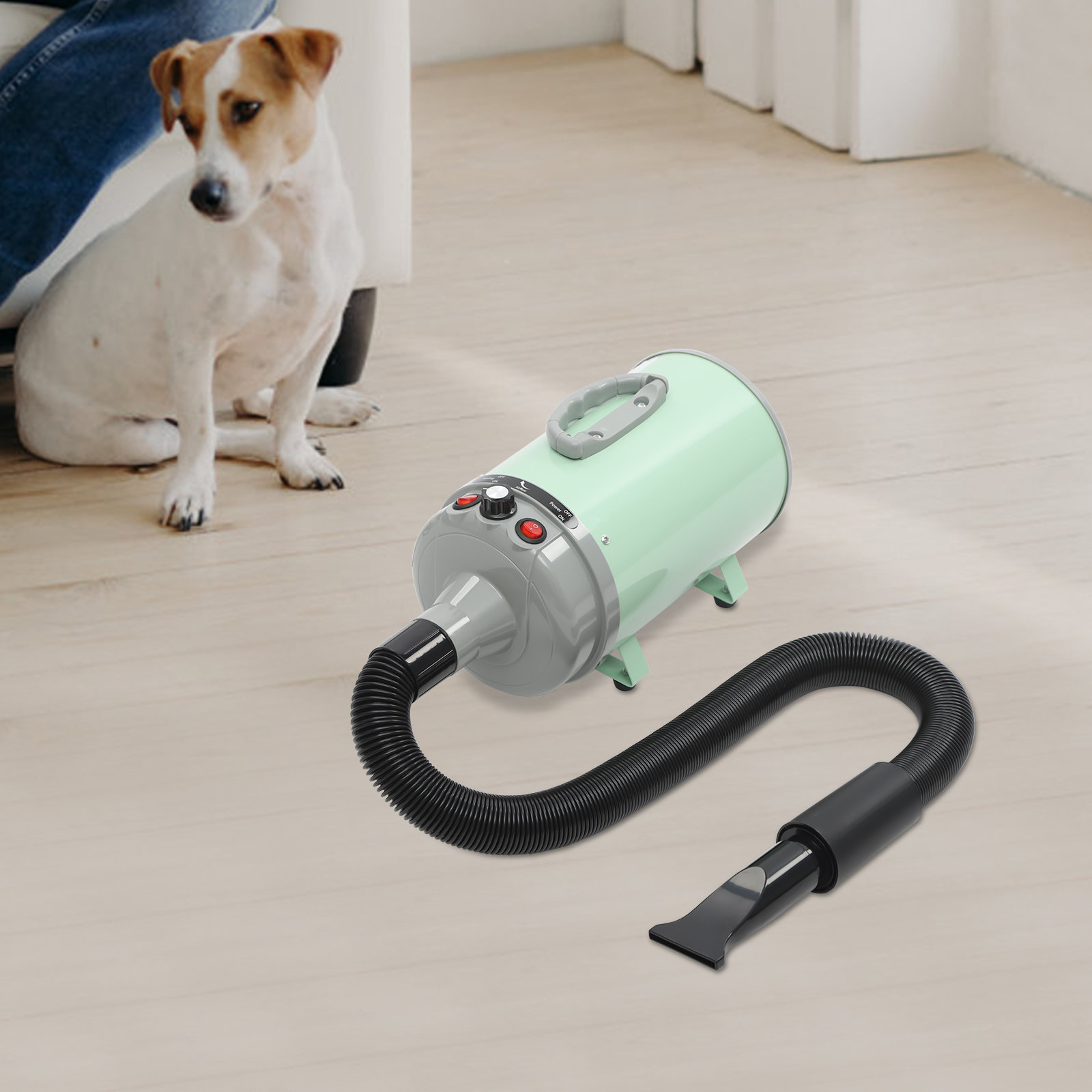 JOYDING Pet Hair Grooming Dyer Electric Dog Cat Hair Dryer Pet Drying ...