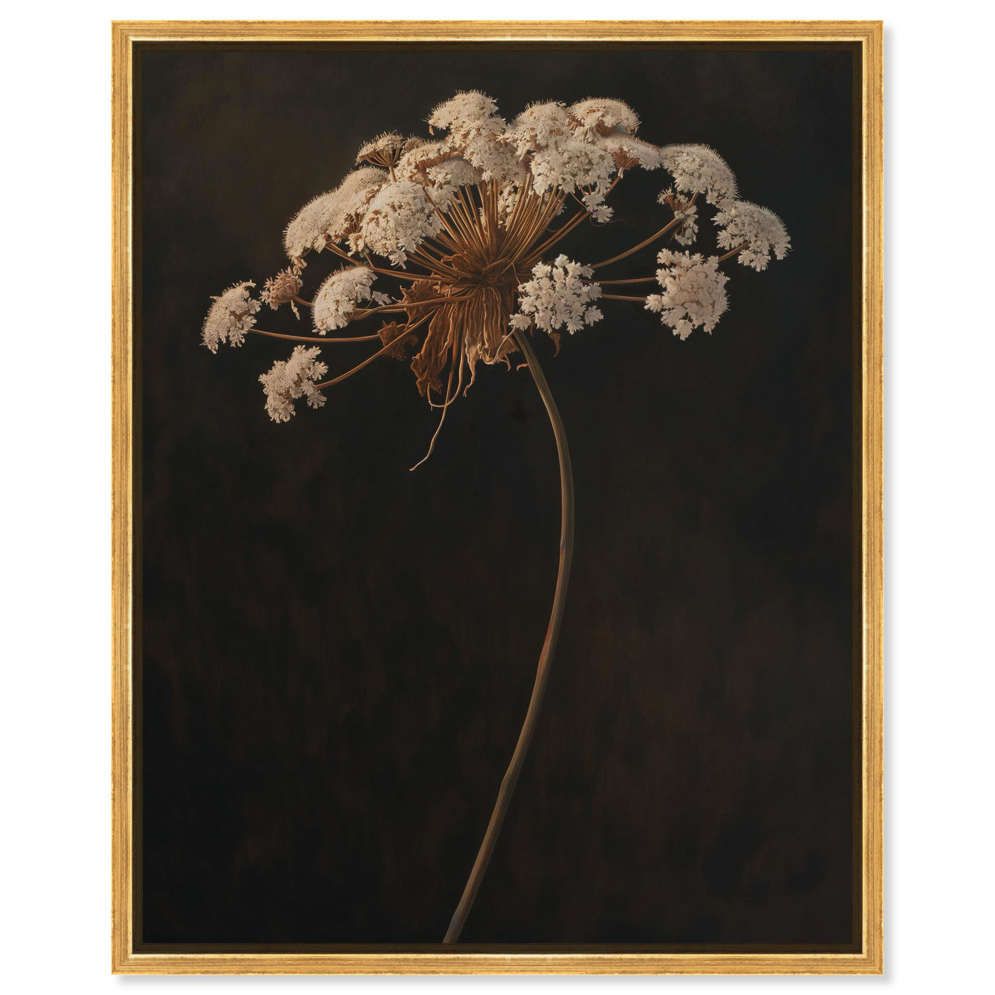 Art Remedy Lace Against the Void Canvas Gothic Botanicals by Art Remedy ...