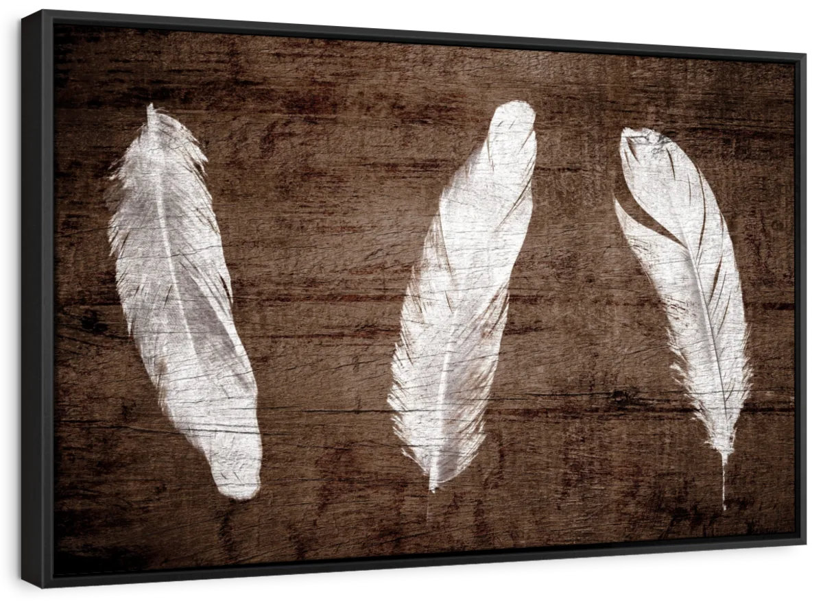 Wildon Home® Woodgrain White Feathers Canvas Print | Wayfair