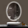 Orren Ellis Adorna Oval Frontlit & Backlit LED Bathroom Vanity Mirror ...