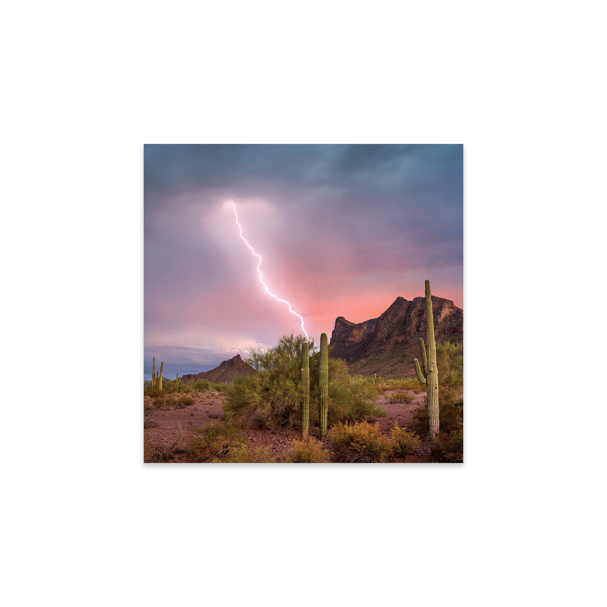 Union Rustic Saguaro Cacti With Lightning Over Peak In Desert, Picacho ...