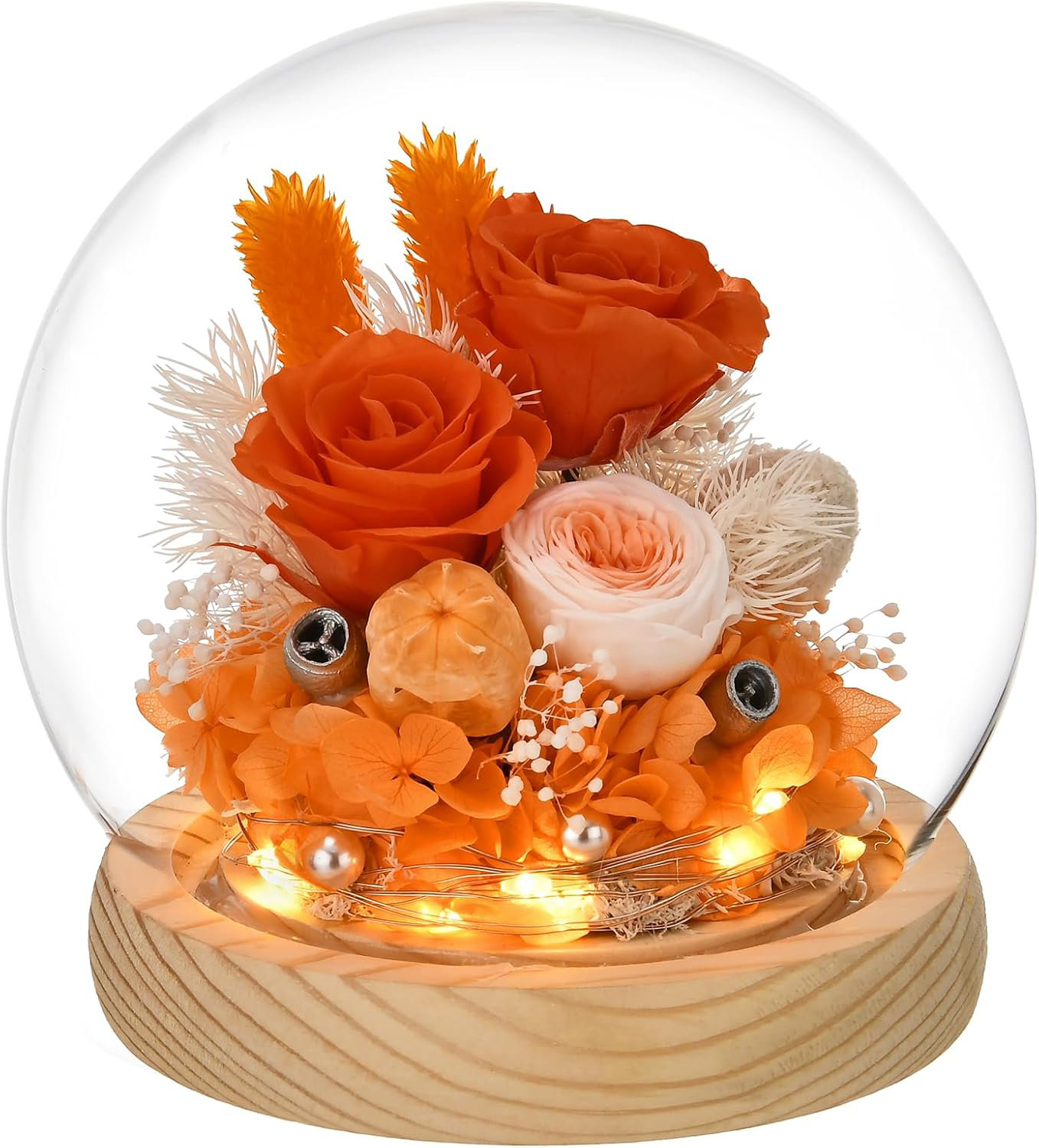 World Menagerie Orange Rose in Glass Dome with LED Light,Gifts | Wayfair
