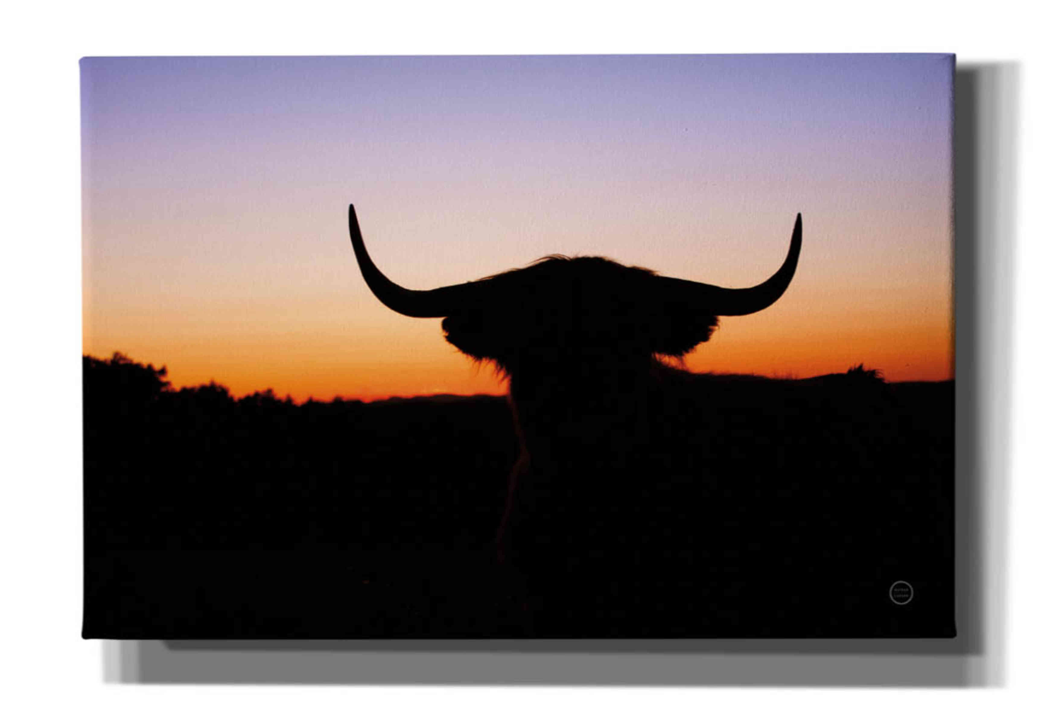 Union Rustic Bull Set by Nathan Larson - Wrapped Canvas Photograph ...