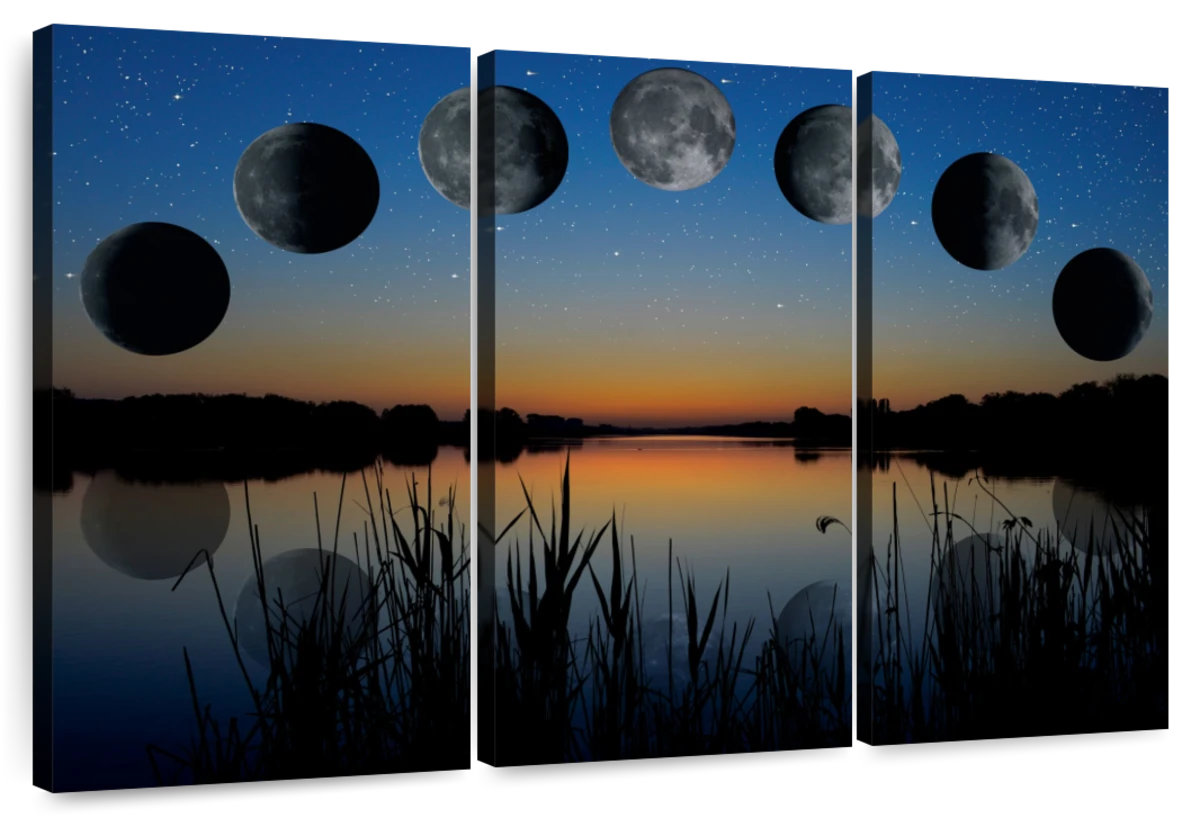 Ebern Designs Oberle Lunar Phase Sequence | Wayfair