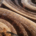 Orren Ellis Koo Geometric Red Area Rug & Reviews | Wayfair