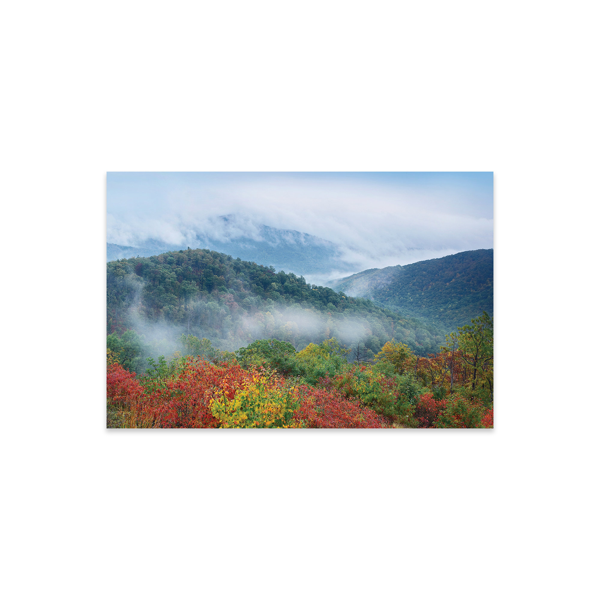 Millwood Pines Archan Broadleaf Forest In Fall Colors As Seen From Buck ...