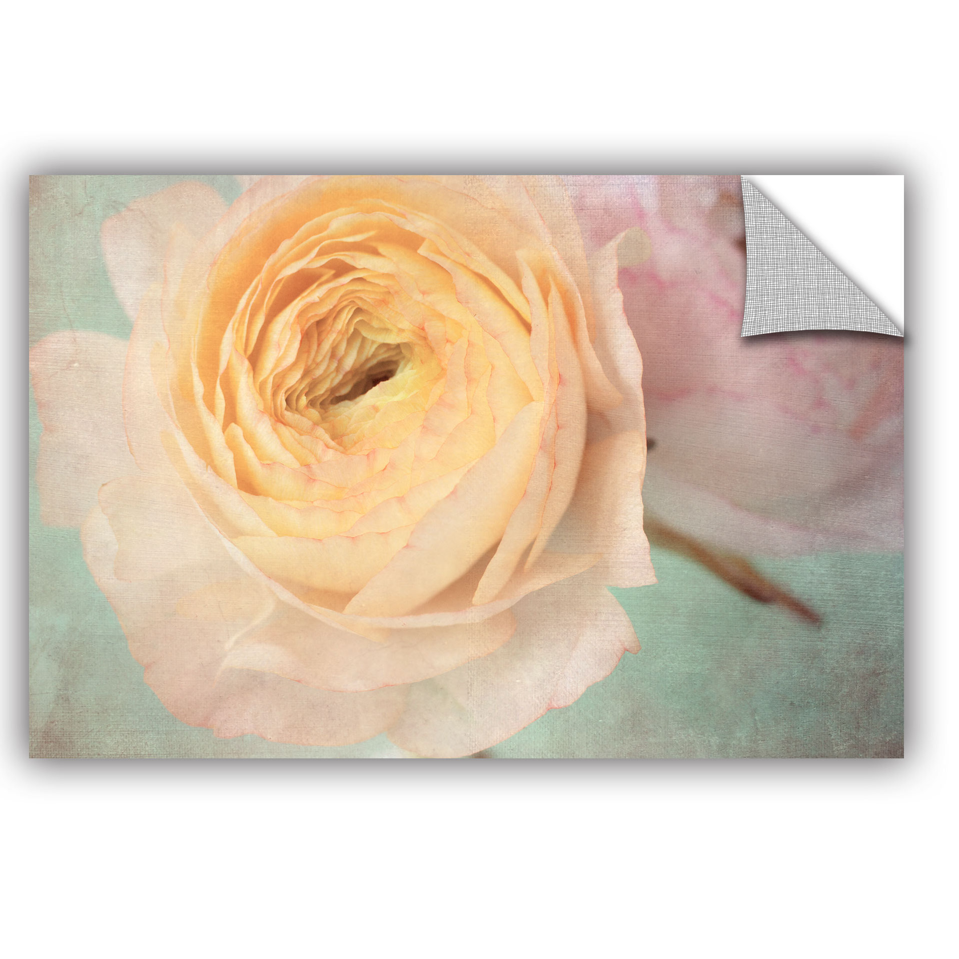 Lark Manor Akeema Peach Ranunculus 2 Removable Wall Decal - Wayfair Canada