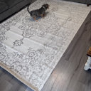 Latitude Vive Swinton Oriental Indoor / Outdoor Area Rug & Reviews ...