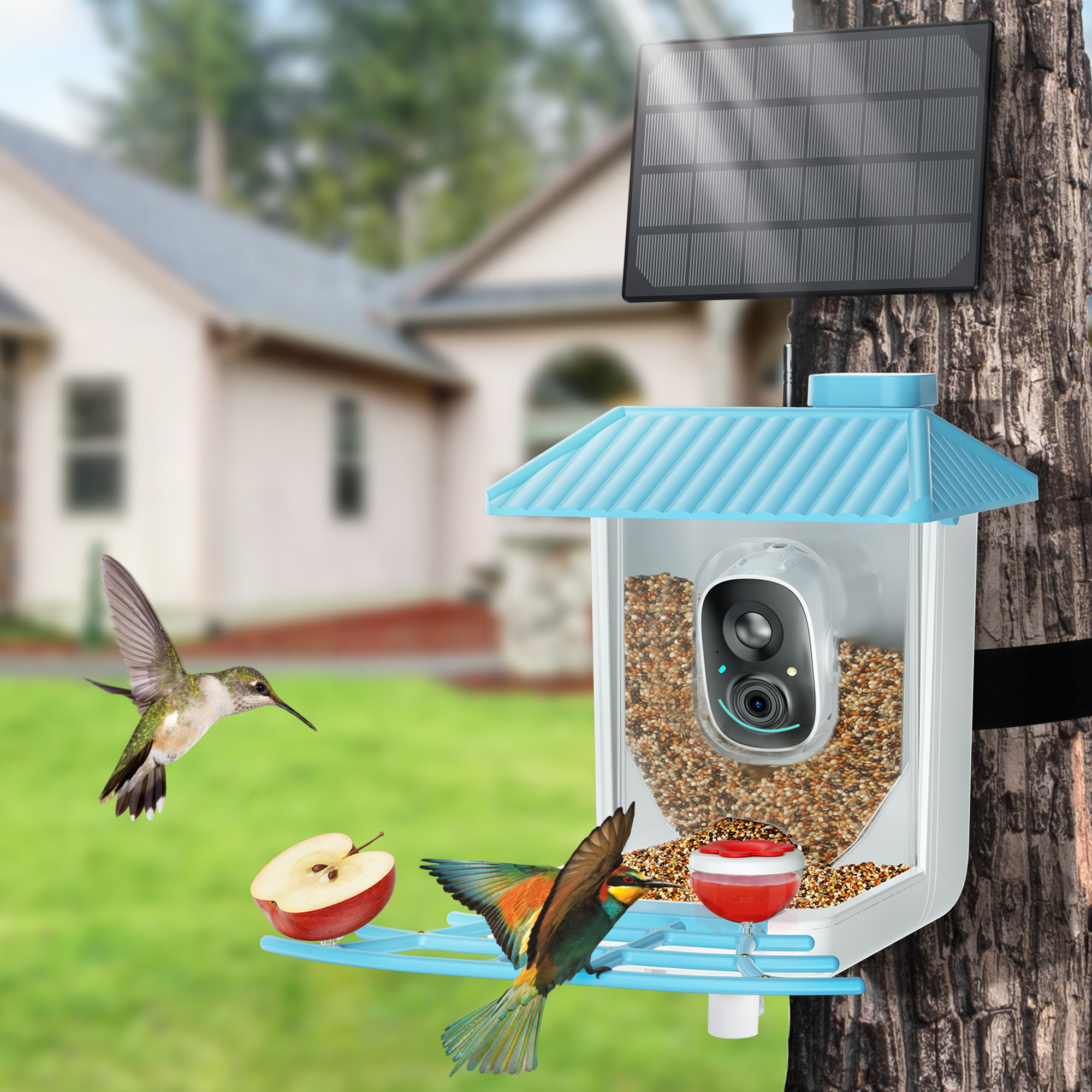 Arlmont & Co. Smart Bird Feeder Solar Powered With 1080P HD Watching ...