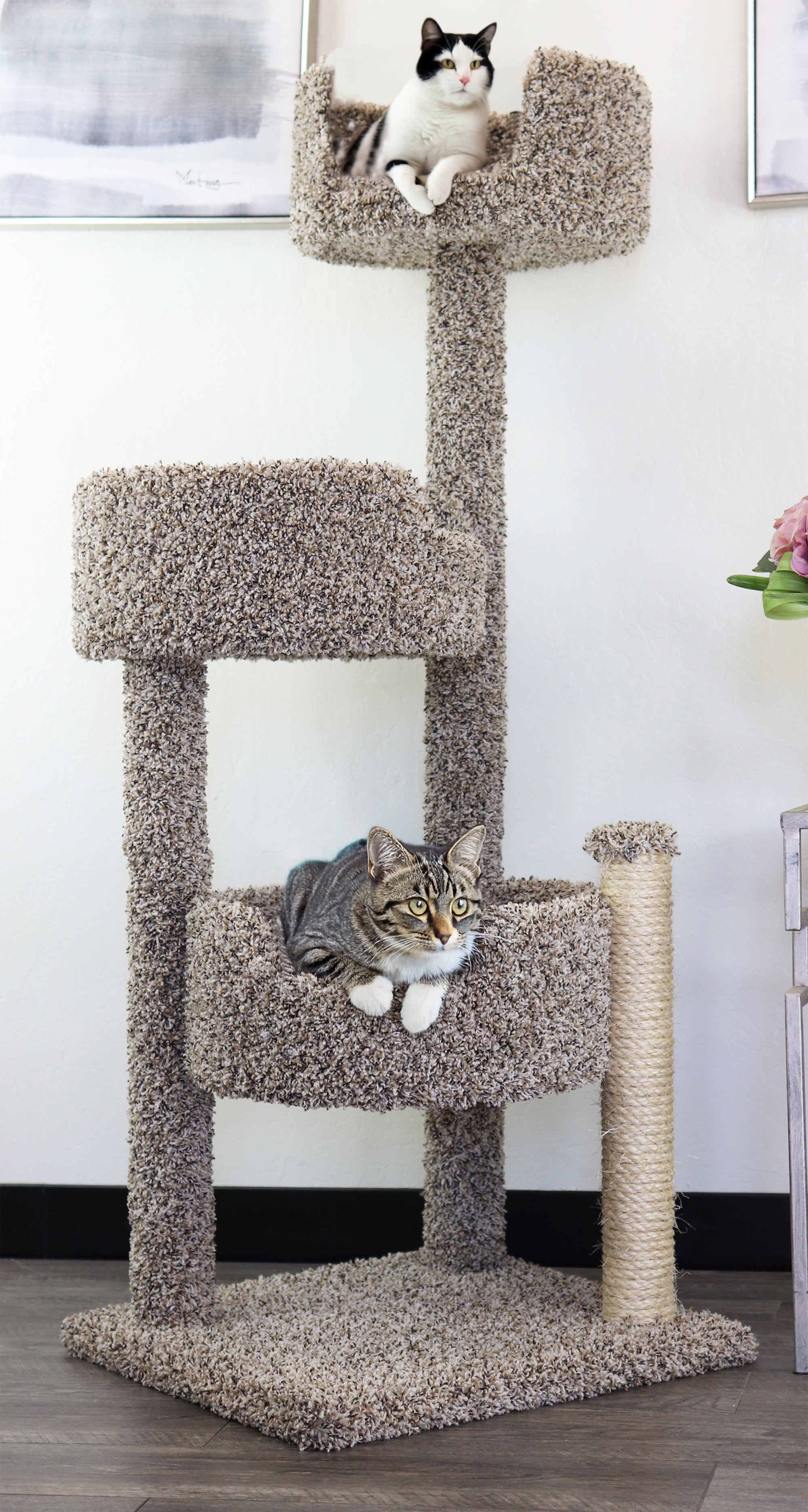 New Cat Condos 52" Cat Perch & Reviews | Wayfair