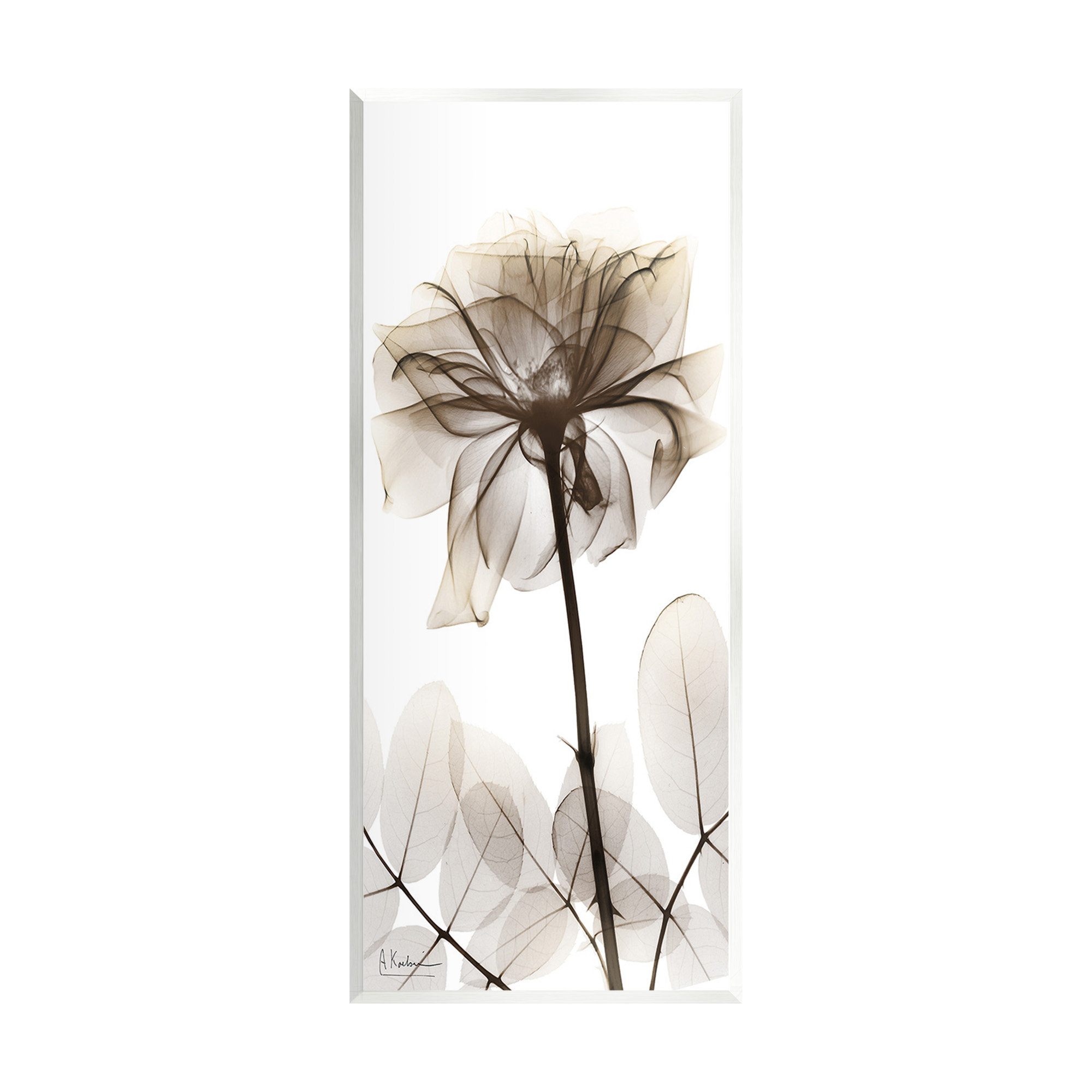 Ebern Designs " Blooming Opaque Flower " by Albert Koetsier on | Wayfair