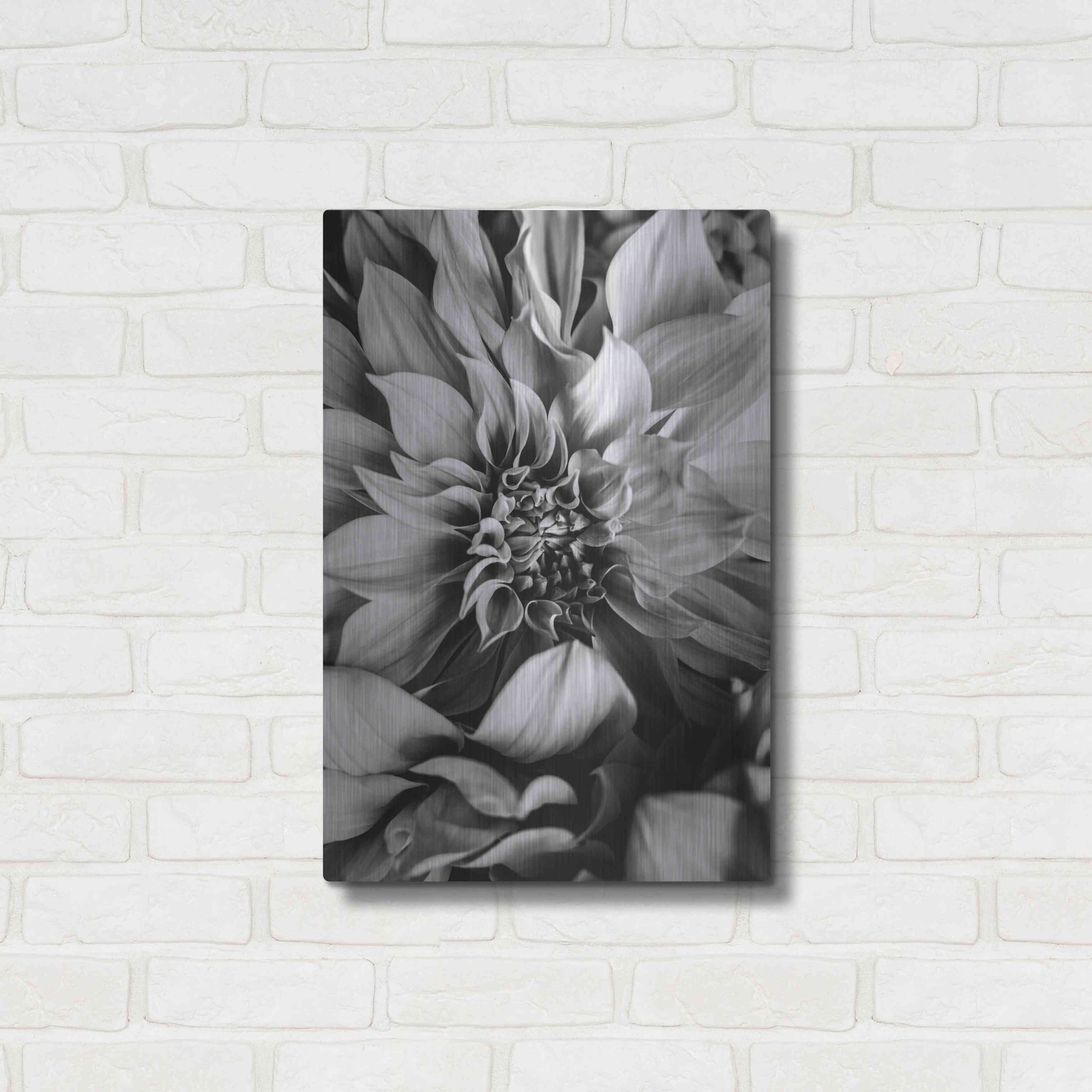 Red Barrel Studio® " BW Flower 4 " by Incado - Wayfair Canada