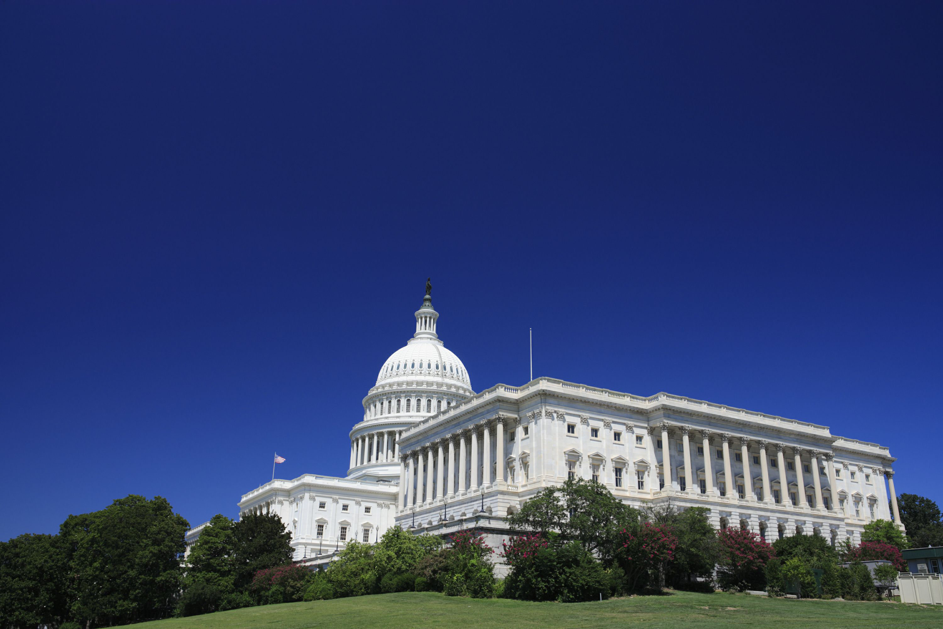 Ebern Designs The United States Capitol Building | Wayfair
