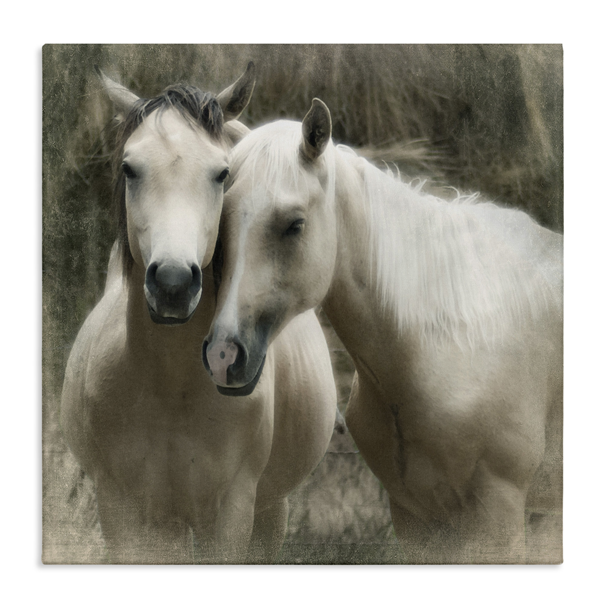August Grove® Snuggling Horses on Farm Canvas Wall Art by Rhonda ...