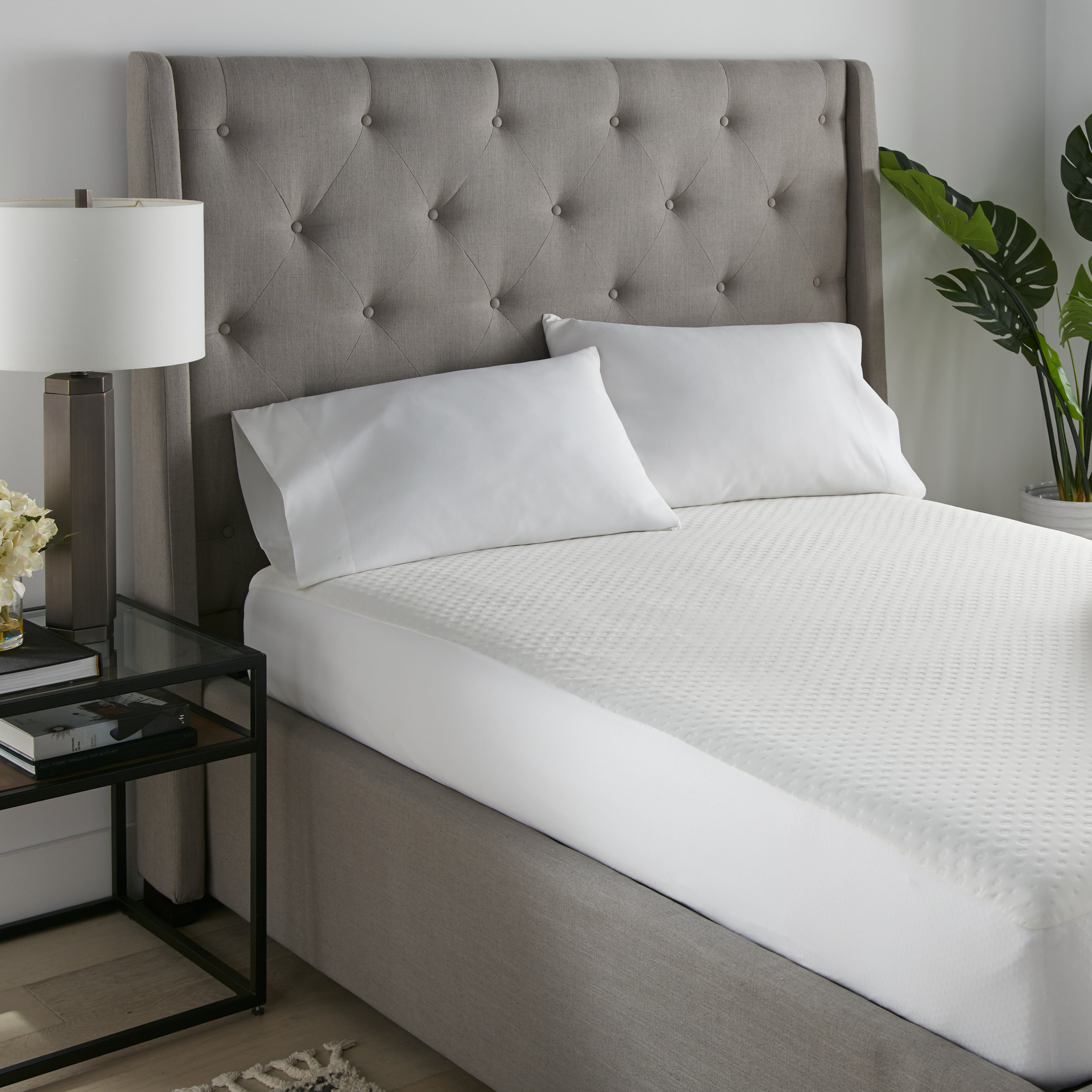 Downlite Fitted Mattress Protector & Reviews | Wayfair