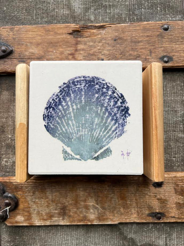 FishAye Trading Company Fisheye Trading Tumbler & Seashell Coaster Set ...