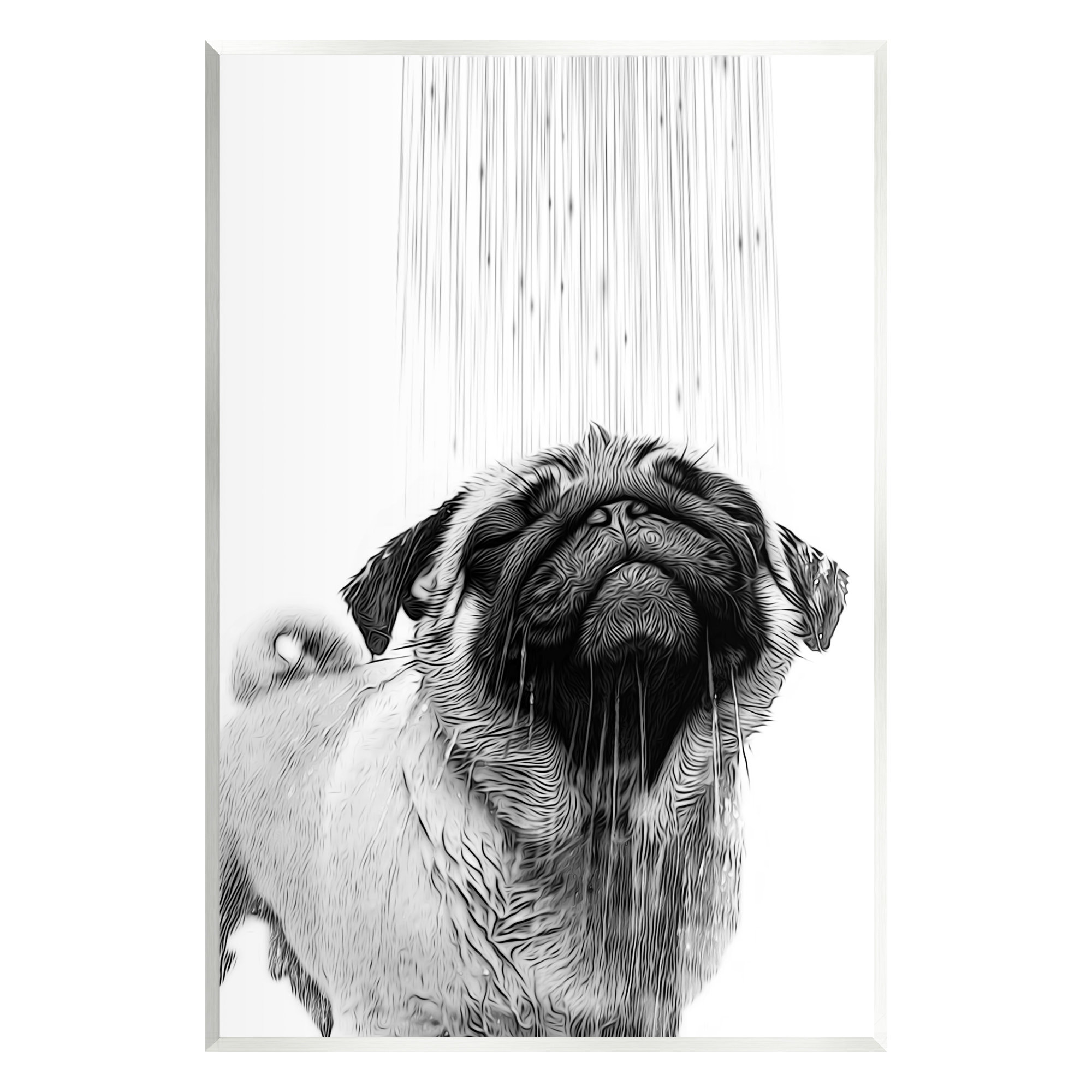 Stupell Industries Az-237-Framed Pug Bathroom Splash Print | Wayfair