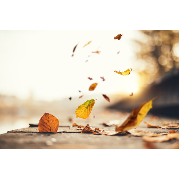 17 Stories Idyllic Autumn Scene by Borchee - No Frame Art Prints on ...