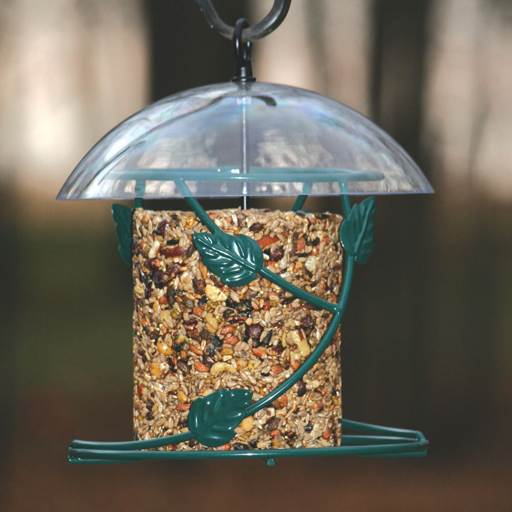 Birds Choice Hanging Seed Cylinder Bird Feeder | Wayfair