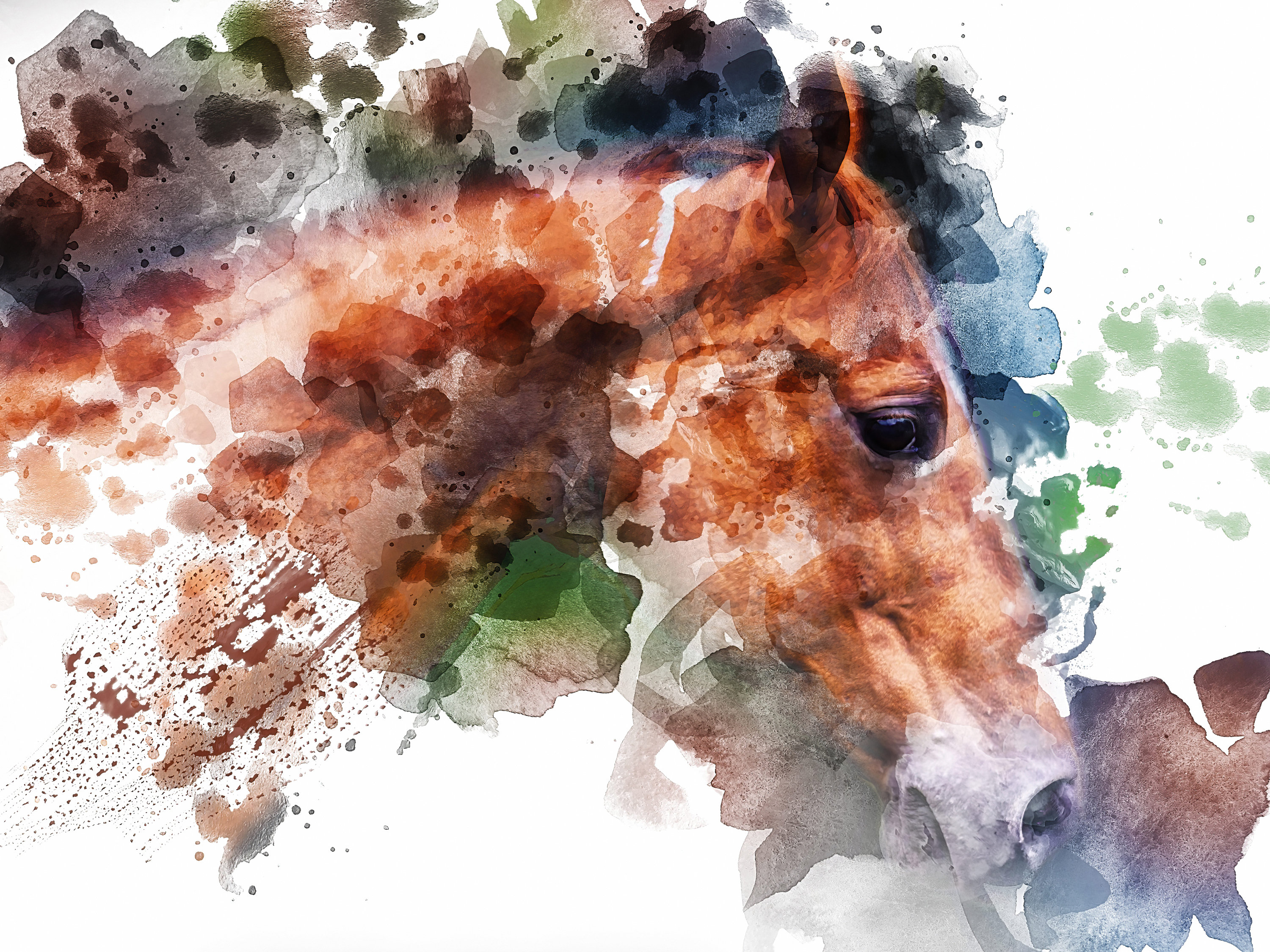 Wrought Studio™ Betiel Stud by Chamira Young | Wayfair