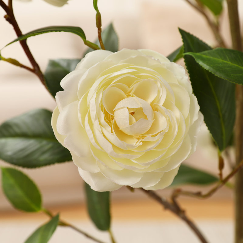 Primrue Adcock 4ft Artificial Camellia Tree with 9 inch White Planter ...