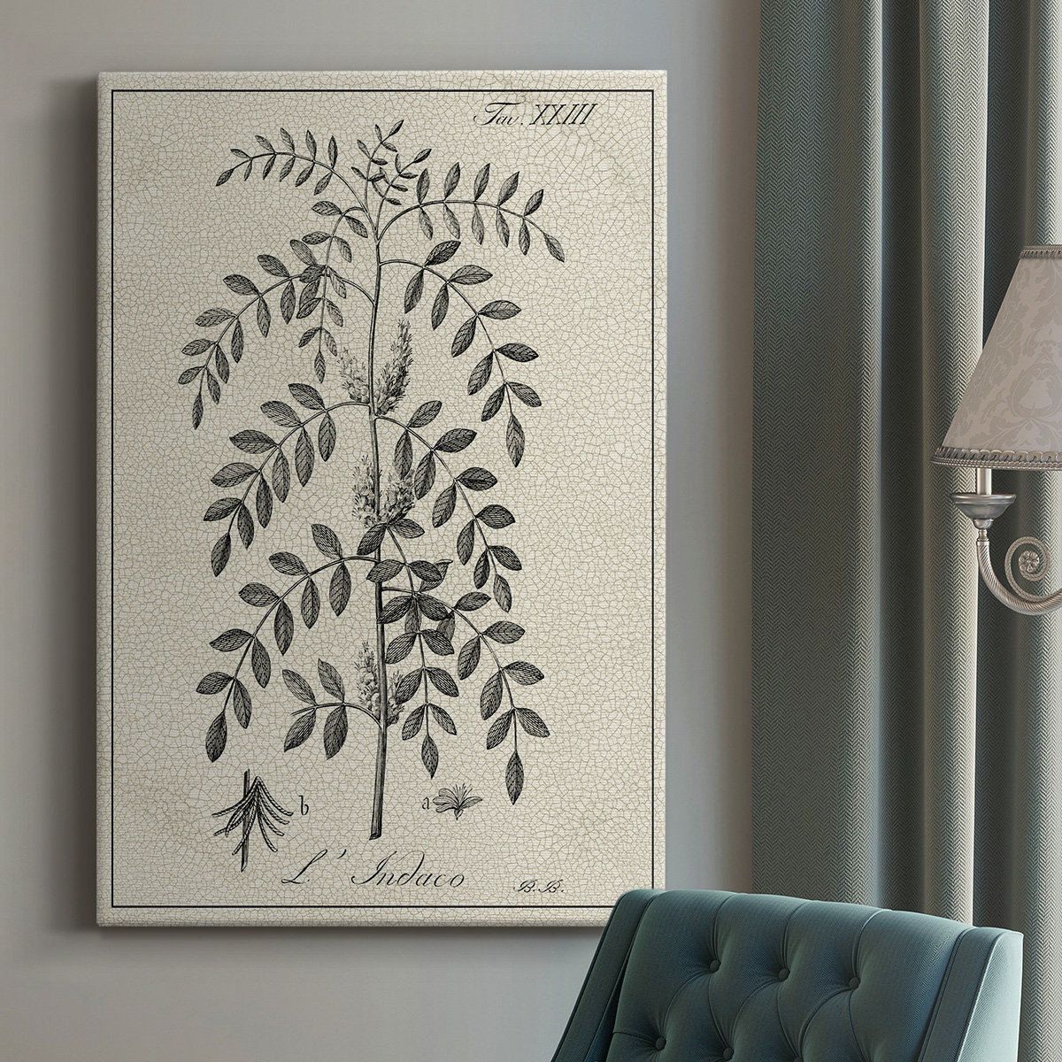 Red Barrel Studio Antique Black & White Botanical IX Premium Gallery ...