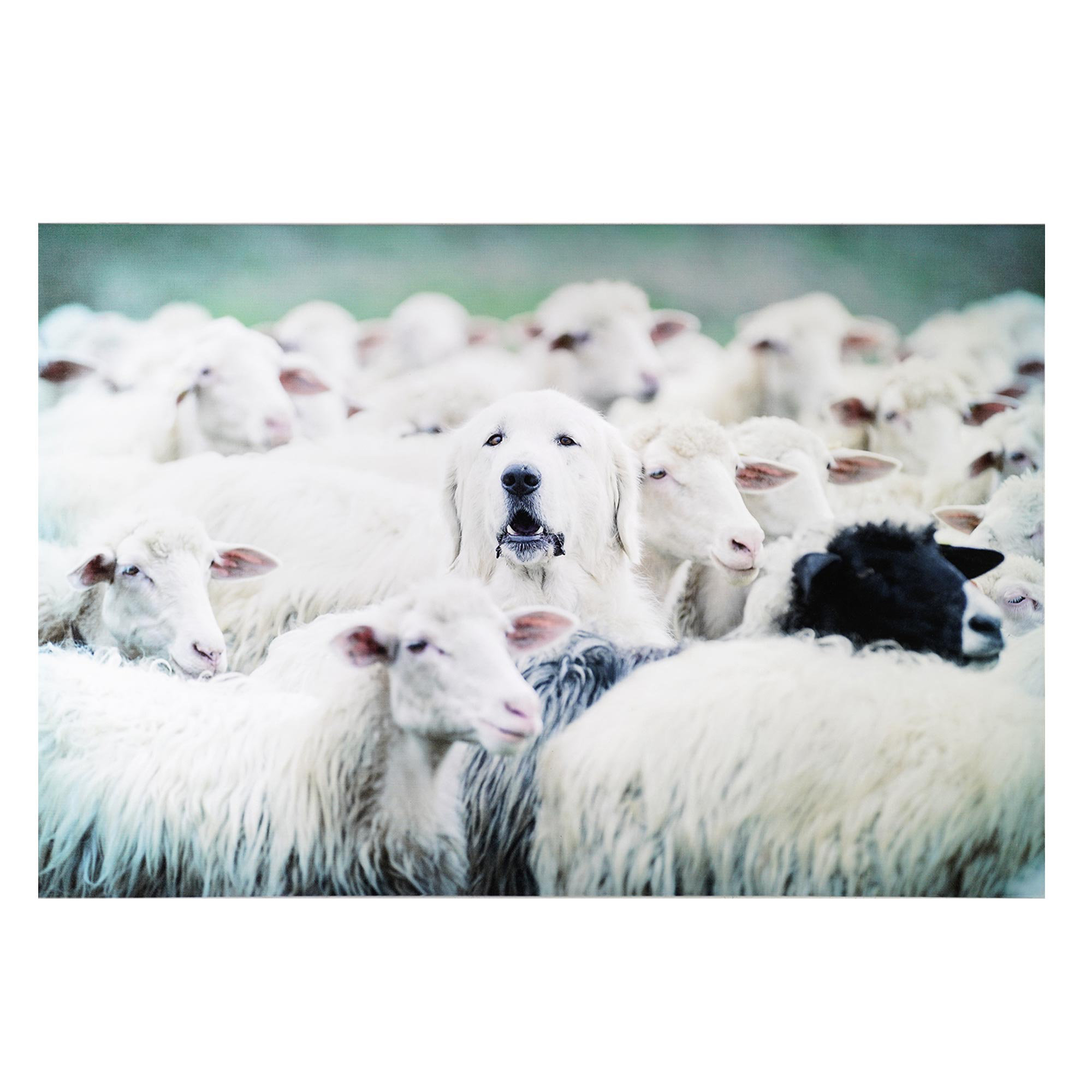 August Grove Good Shepherd Dog with Sheep Glossy Lacquer Canvas Wall ...
