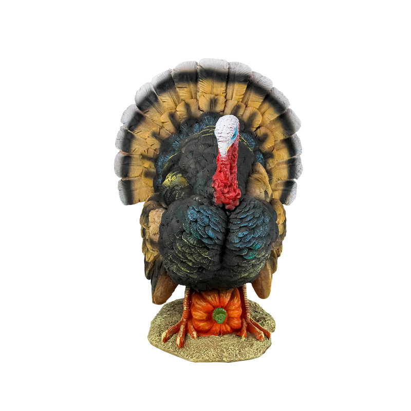 Design Toscano Thomas the Turkey Statue & Reviews | Wayfair