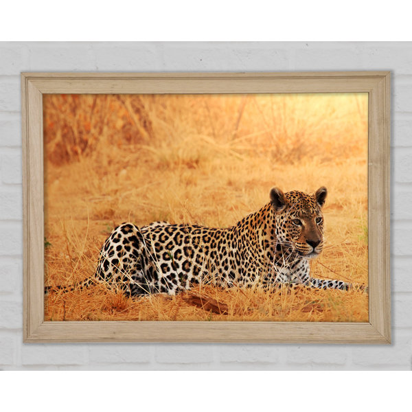 Ebern Designs Leopard Waiting - Single Picture Frame Print | Wayfair.co.uk