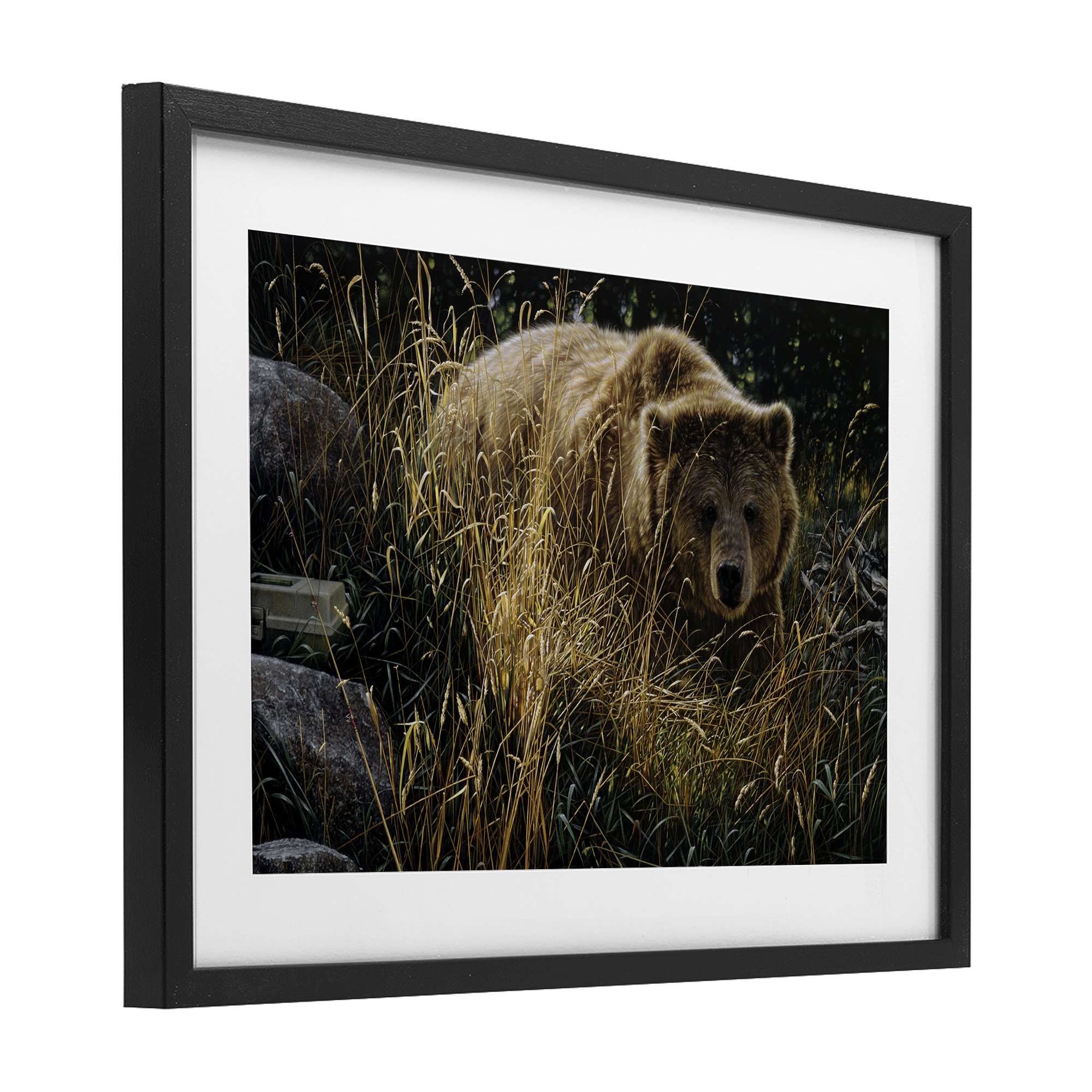 Millwood Pines Crossing Paths Grizzly Bear Framed Print Under Glass ...