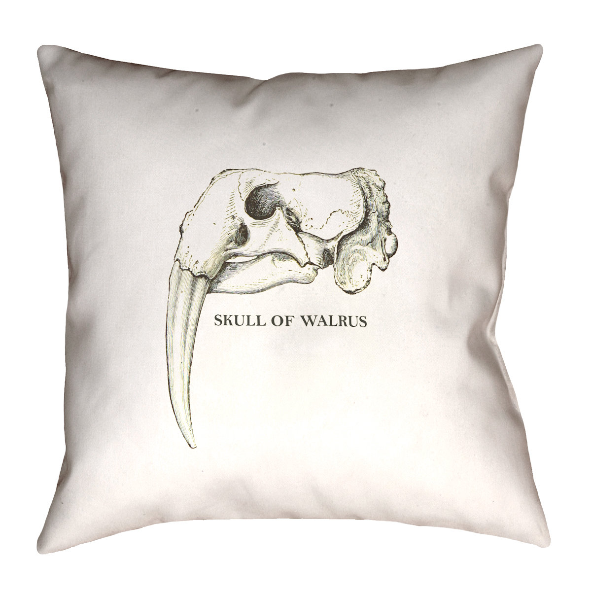 ArtVerse Katelyn Smith Walrus Skull Throw Pillow | Wayfair