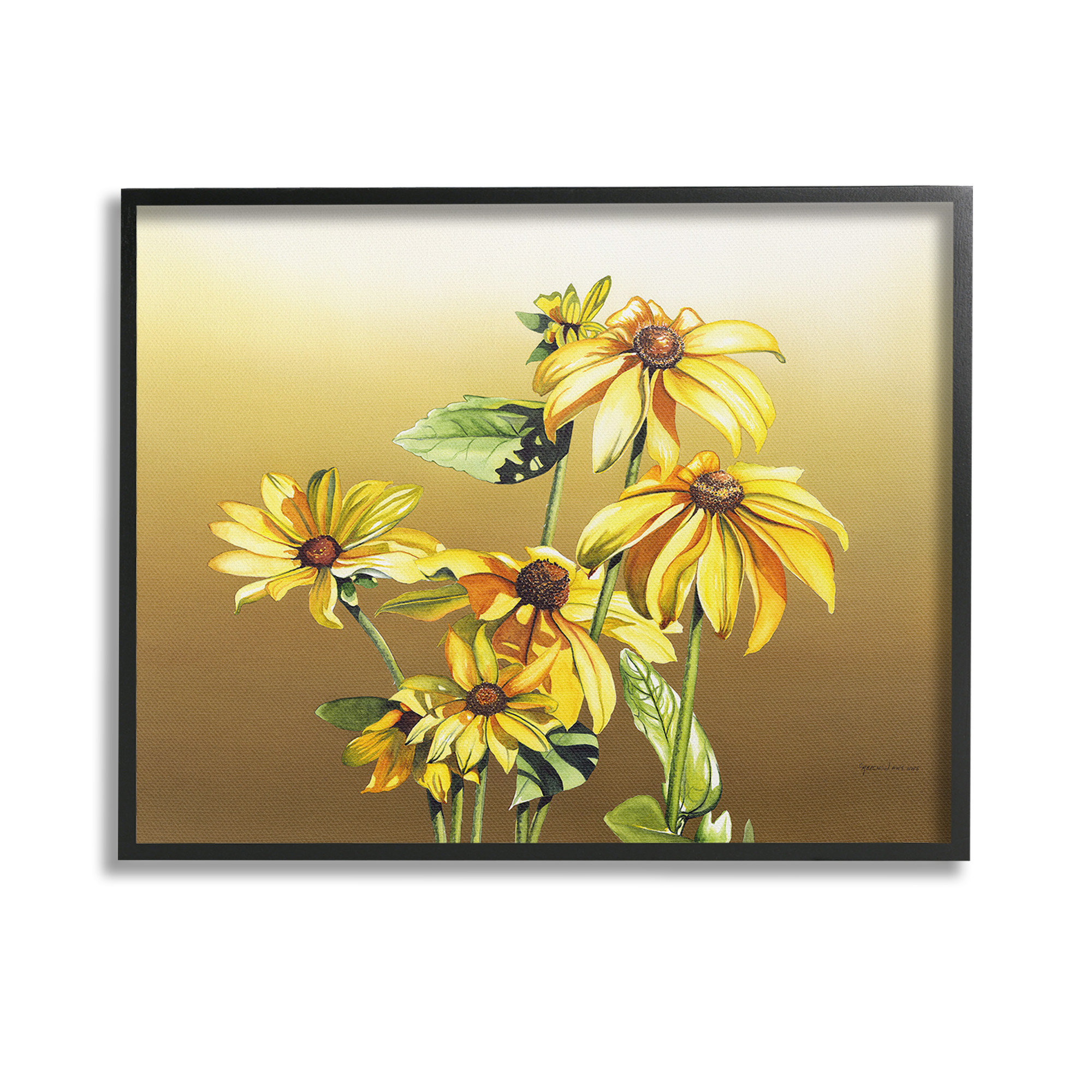 Stupell Industries Drooping Daisy Petals Framed Giclee Art by Christine ...