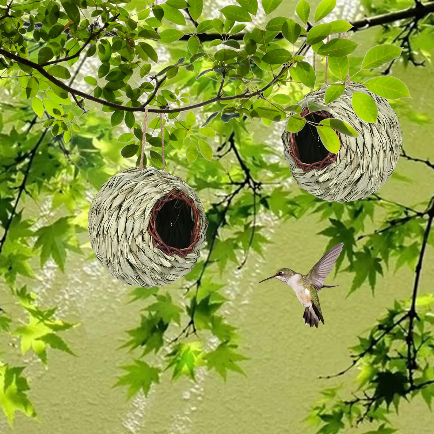 Gracie Oaks SET OF 2 Hanging Hummingbird Nest House for Outside Hand ...