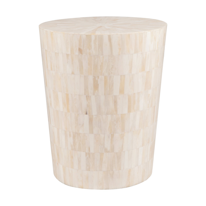 Birch Lane™ Ceri Bone End Table & Reviews | Wayfair