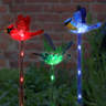Exhart Solar WindyWing Garden Stake Set of Cardinal, Hummingbird and ...