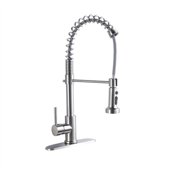 Red Cloud Pull Down Kitchen Faucet | Wayfair