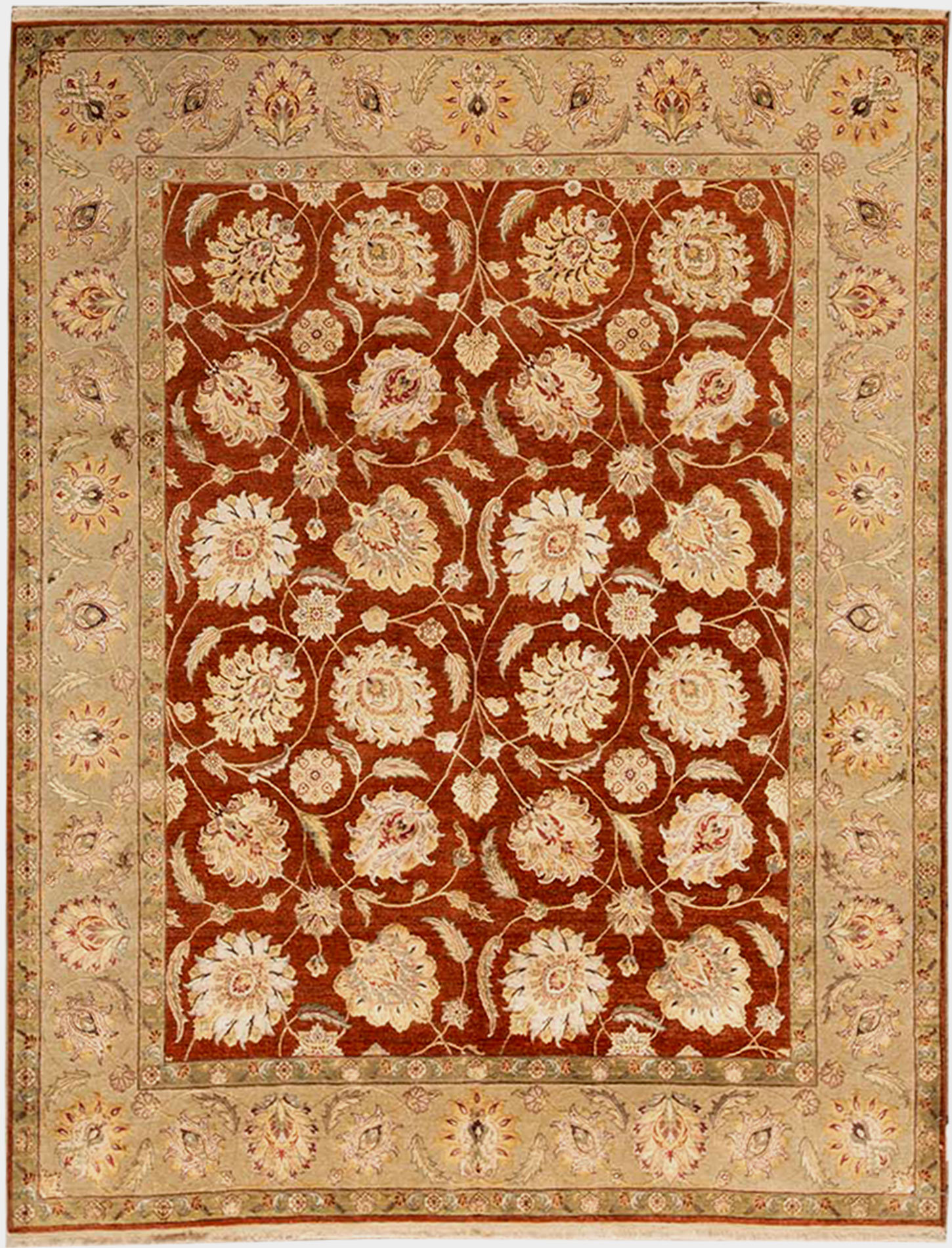 Bokara Rug Co., Inc. DANIA COLLECTION - Wayfair Canada