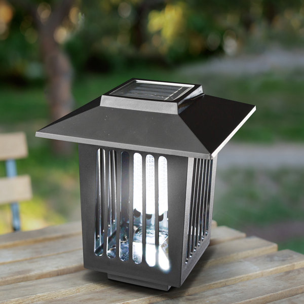 Eternal Solar Powered Integrated LED Outdoor Lantern | Wayfair