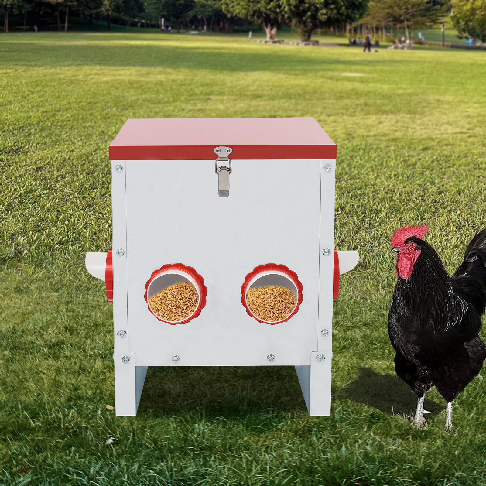 Ophelia & Co. Chicken Feeder Large Capacity Chicken Feeder 6-Hole ...