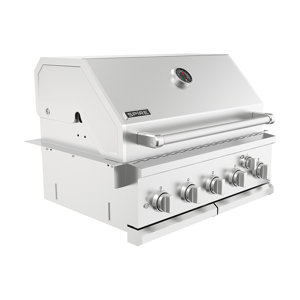Spire 5-Burner Built-in Grill Head with Rear Burner & Reviews | Wayfair