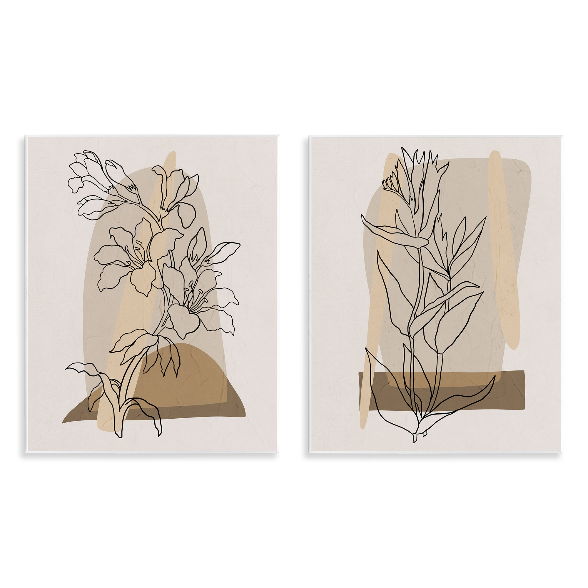 Ebern Designs Natural Flower Outlines 2 PC Wall Plaque Art Set by ...